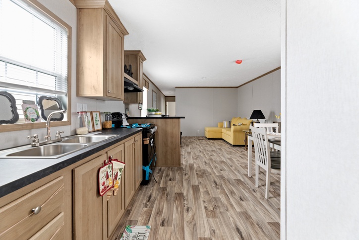 Economy 14663Z Manufactured Home from Fleetwood Homes, a Cavco Company